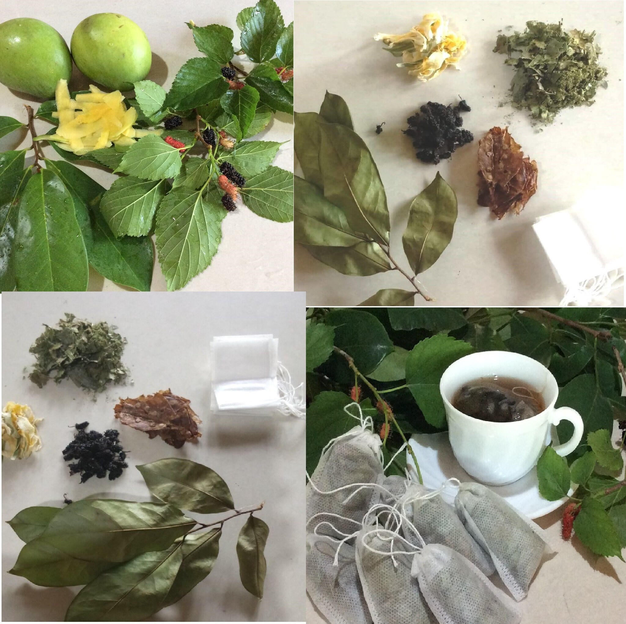 All Organic and Fresh Tropical Infusion Herb Drink Tisane FREE Shipping ...