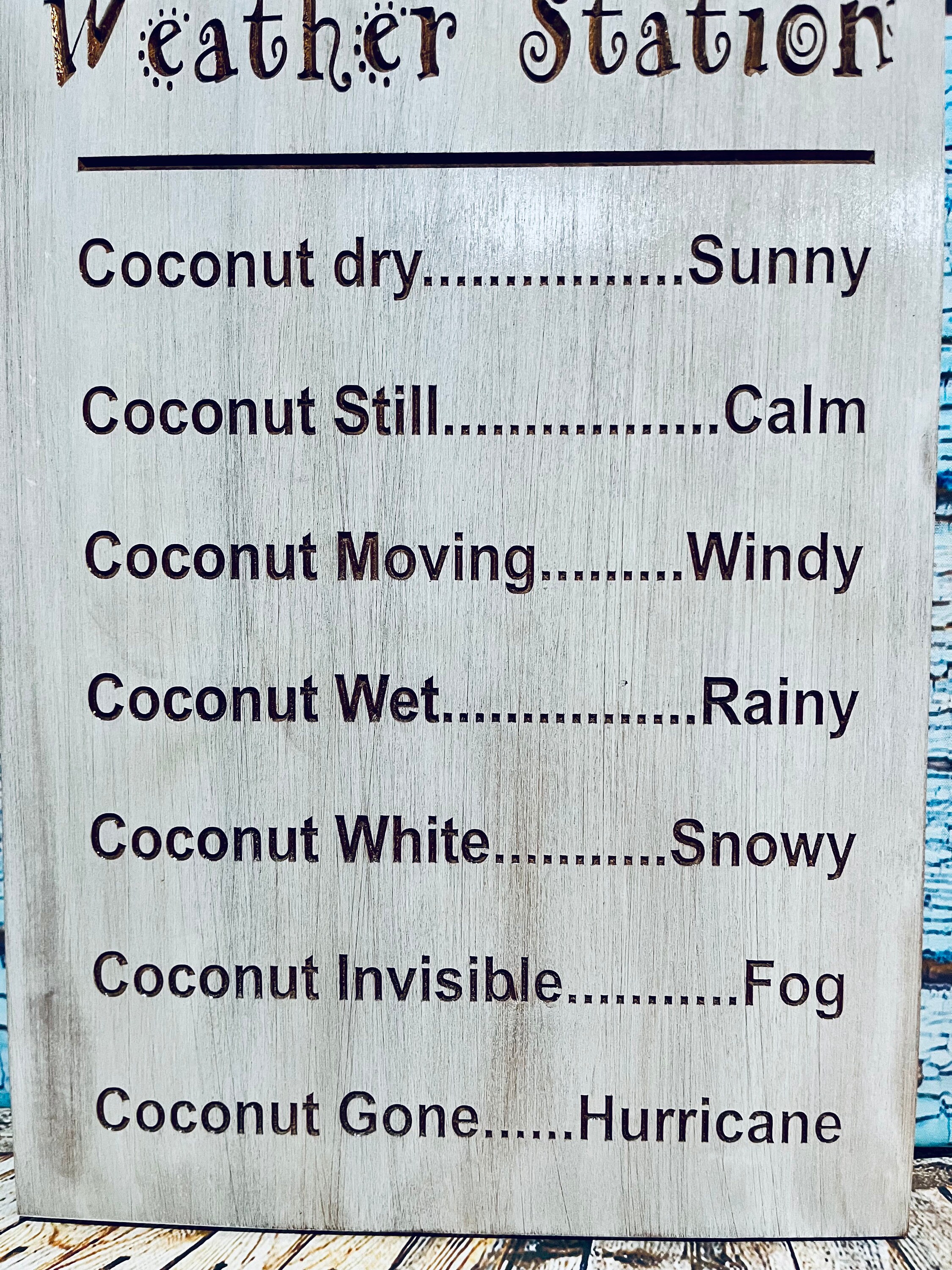 Personalized Coconut Weather Station Sign: Beach House Decor - Etsy