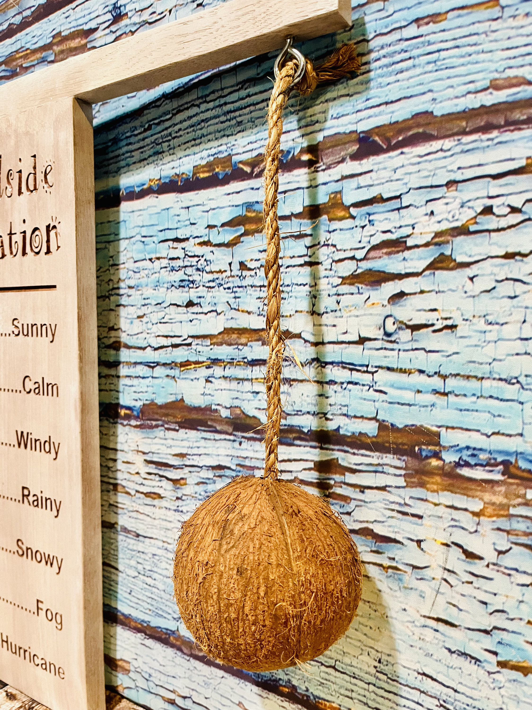 Personalized Coconut Weather Station Sign: Beach House Decor - Etsy