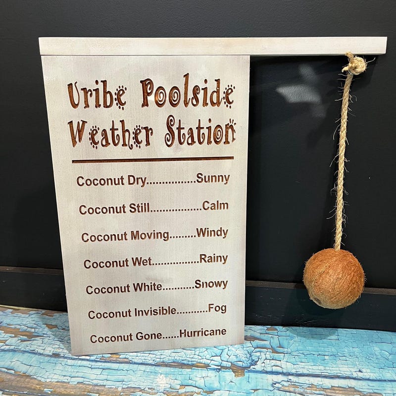 Weather Station Gifts - 60+ Gift Ideas for 2026