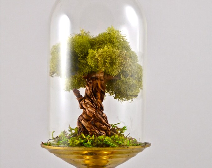Tree Terrarium, Miniature Landscape Terrarium Tree Sculpture, Real Moss ...