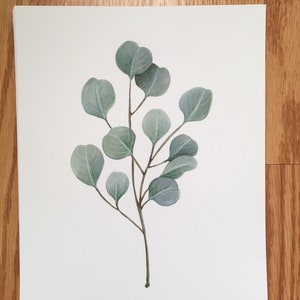 Silver Dollar Eucalyptus Art Print / Floral / Greenery / - Etsy
