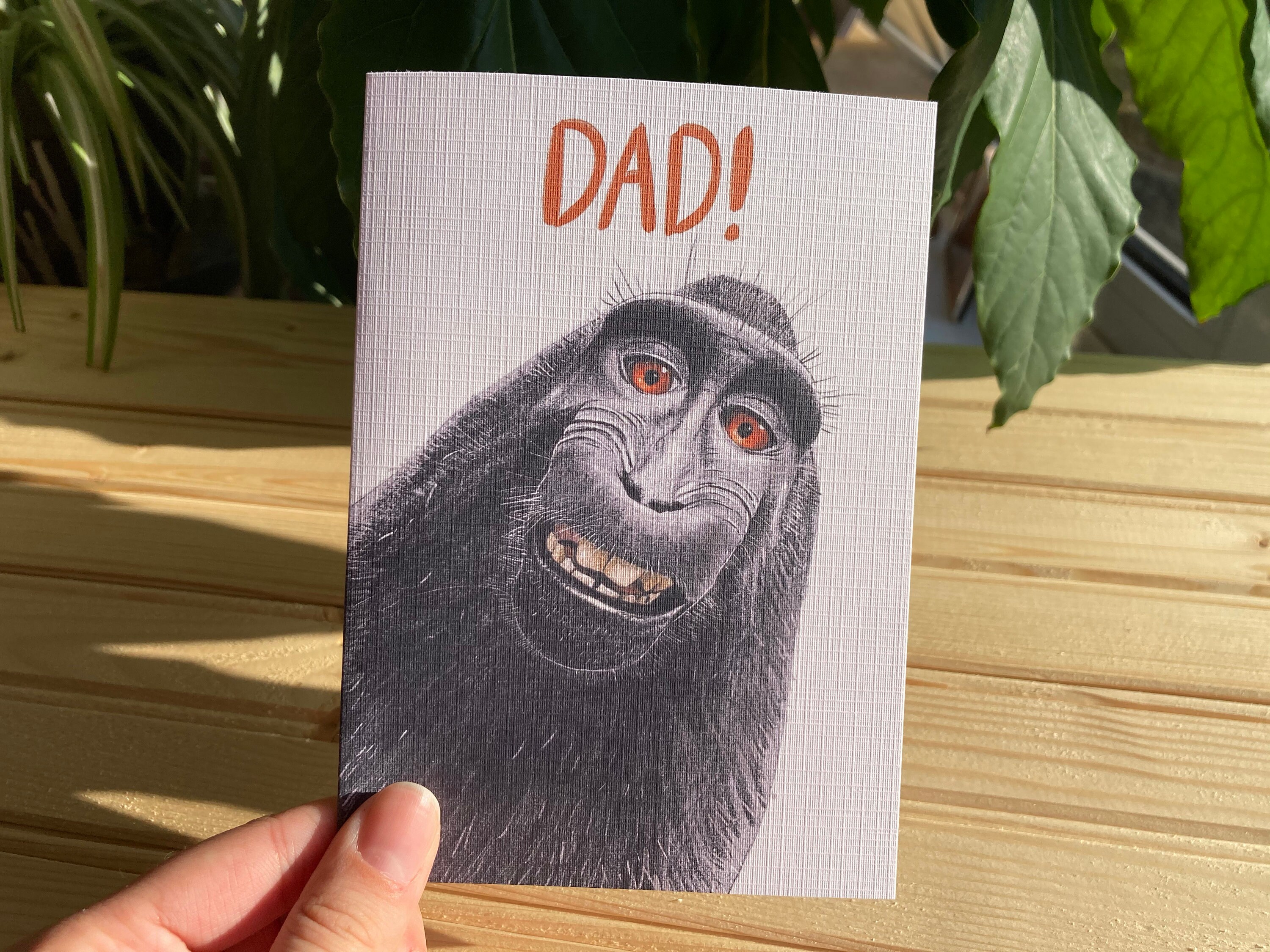 Funny Father's Day Card, Birthday ~ Monkey Macaque Selfie 'dad!' Blank ...