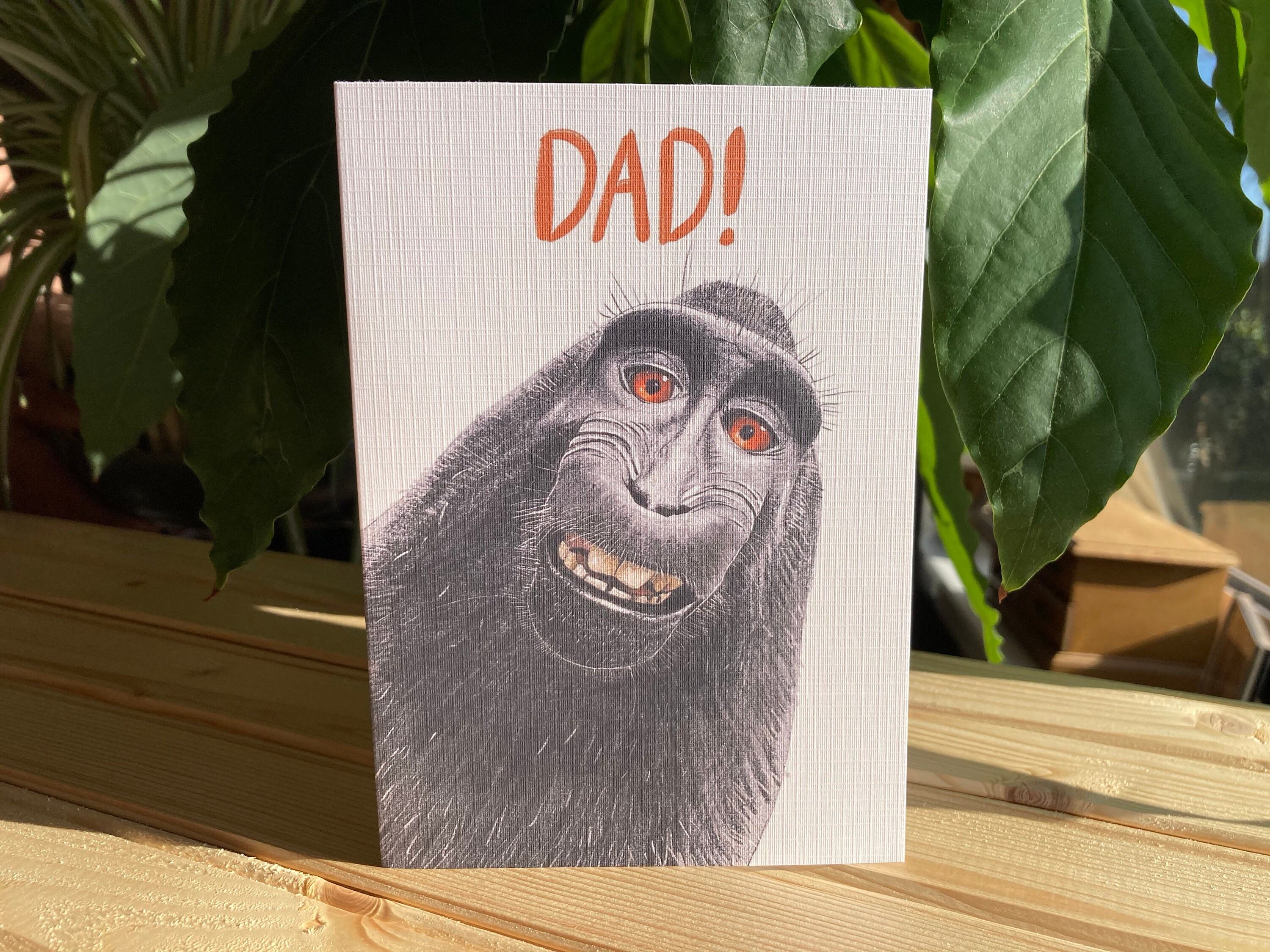 Funny Father's Day Card, Birthday ~ Monkey Macaque Selfie 'dad!' Blank ...