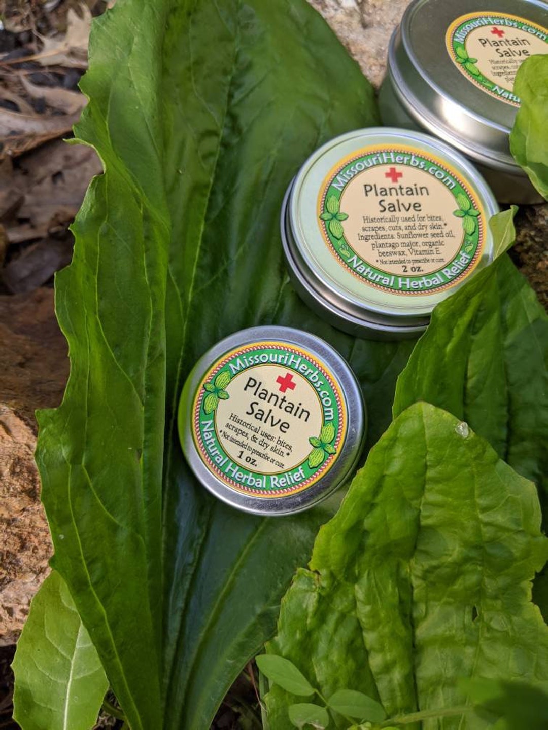 Plantain Salve FREE SHIPPING - Etsy