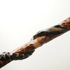 EAGLE and SNAKE - Walking Stick for Hiking Cane Hand Carved Wooden Wood ...