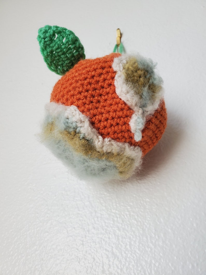 Crochet Moldy Orange Pouch - Etsy