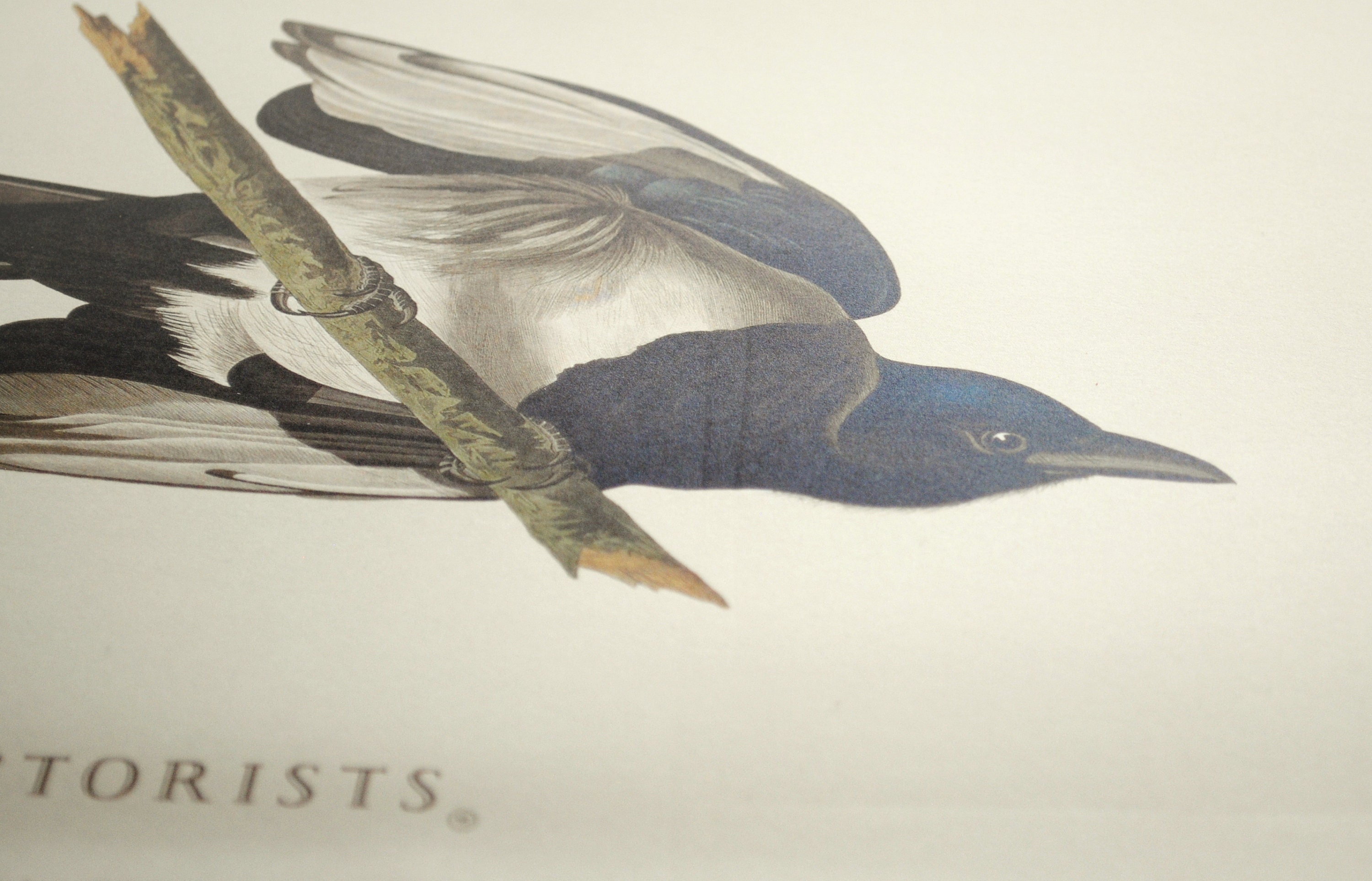 Detectorists Poster 50 X 70cm - Etsy