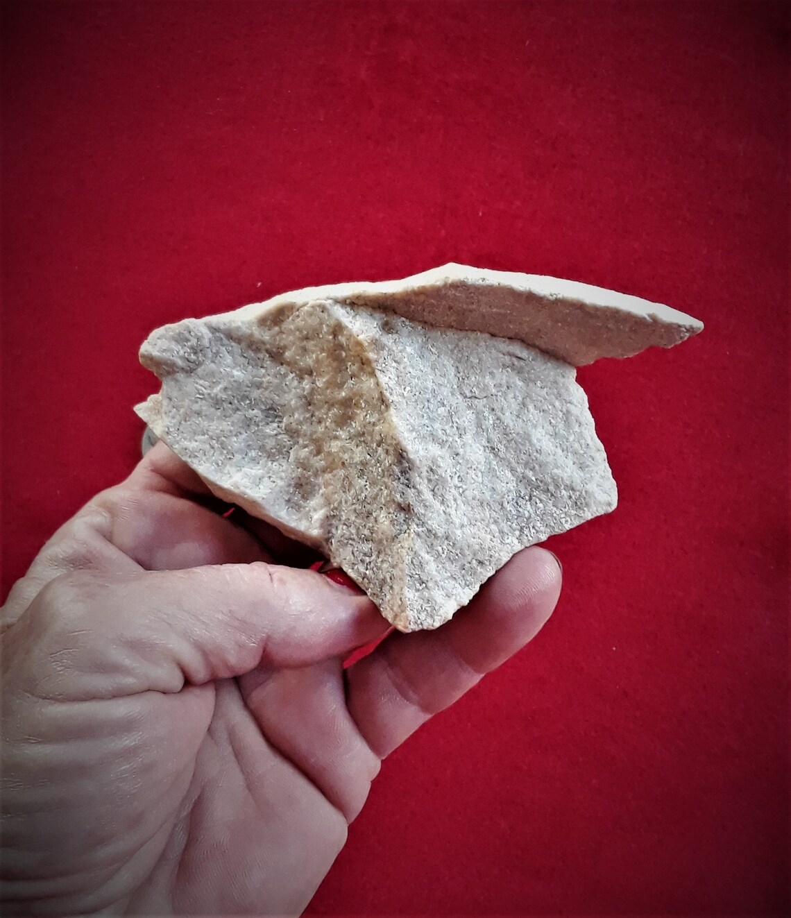 Ancient Multi-purpose Tool Root Adze Native American Artifact - Etsy