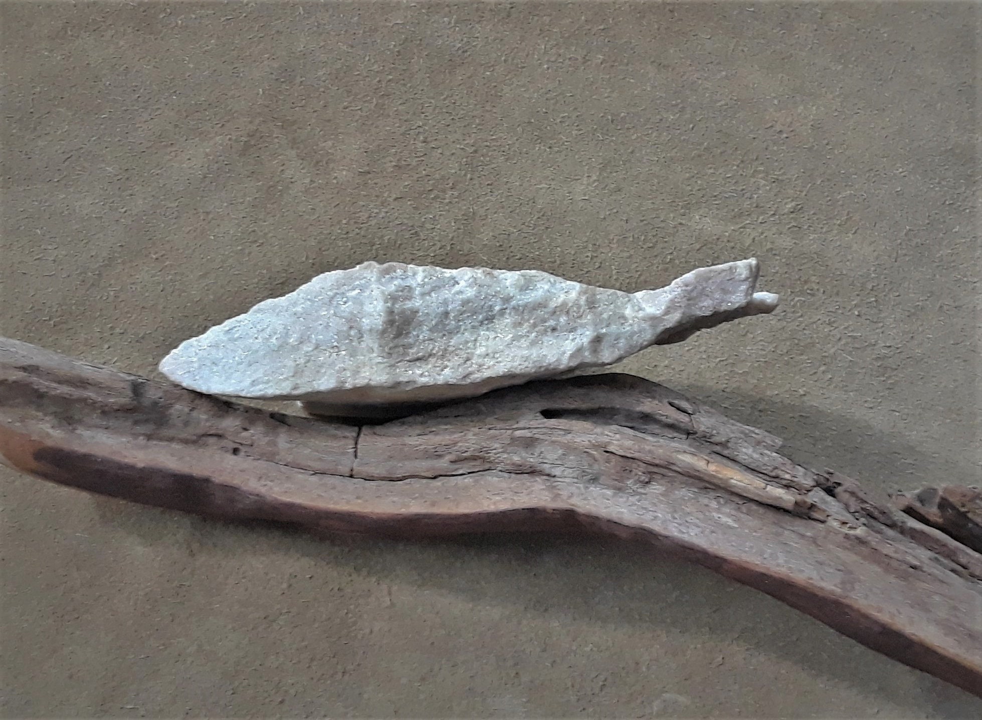 Ancient Multi-purpose Tool Root Adze Native American Artifact - Etsy