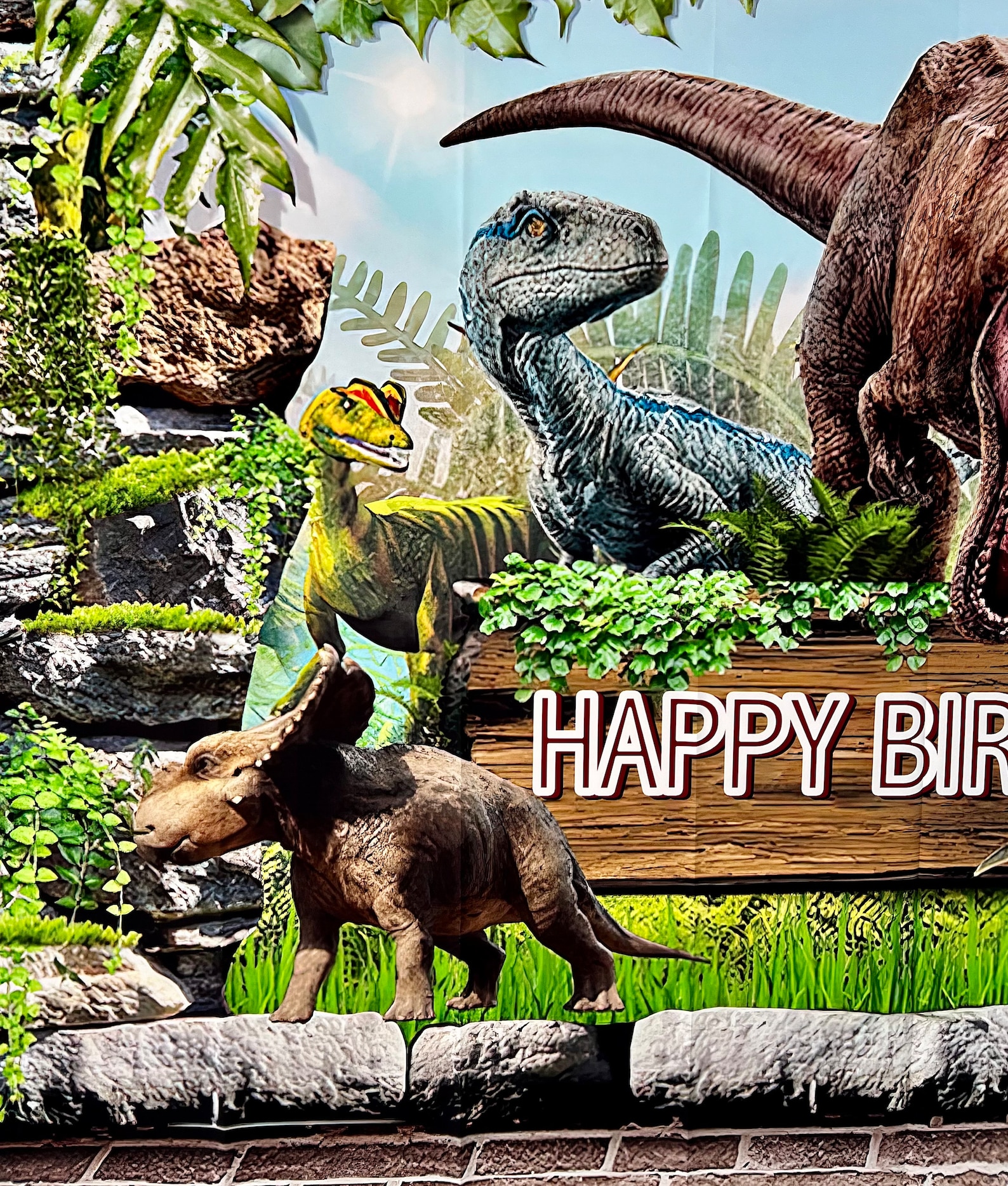 Dinosaur Photo Backdrop Kids Birthday Party Vinyl Dinosaur Banner ...
