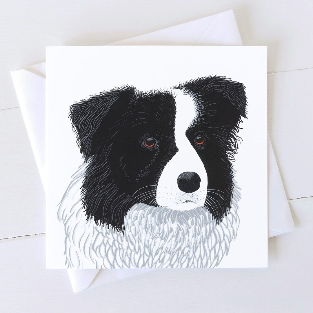 Border Collie - Greeting Card - Etsy