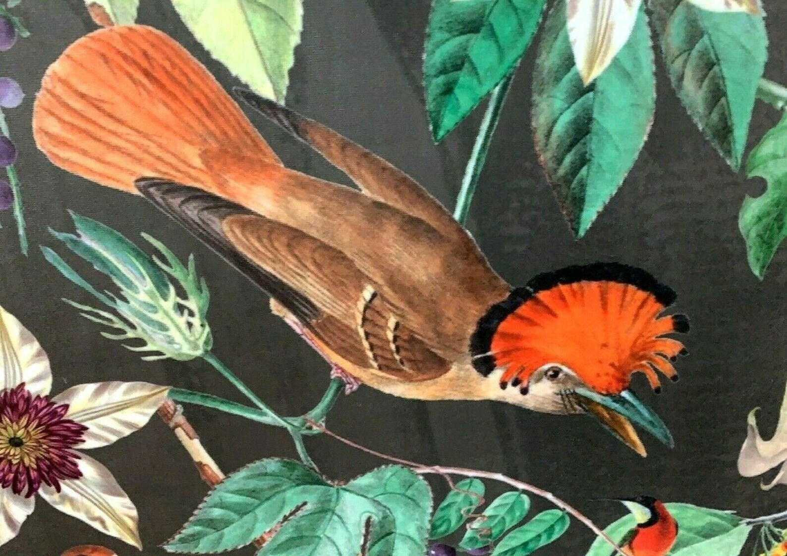 Italian Velvet Toffee Red Blue Botanical Tropical Birds - Etsy