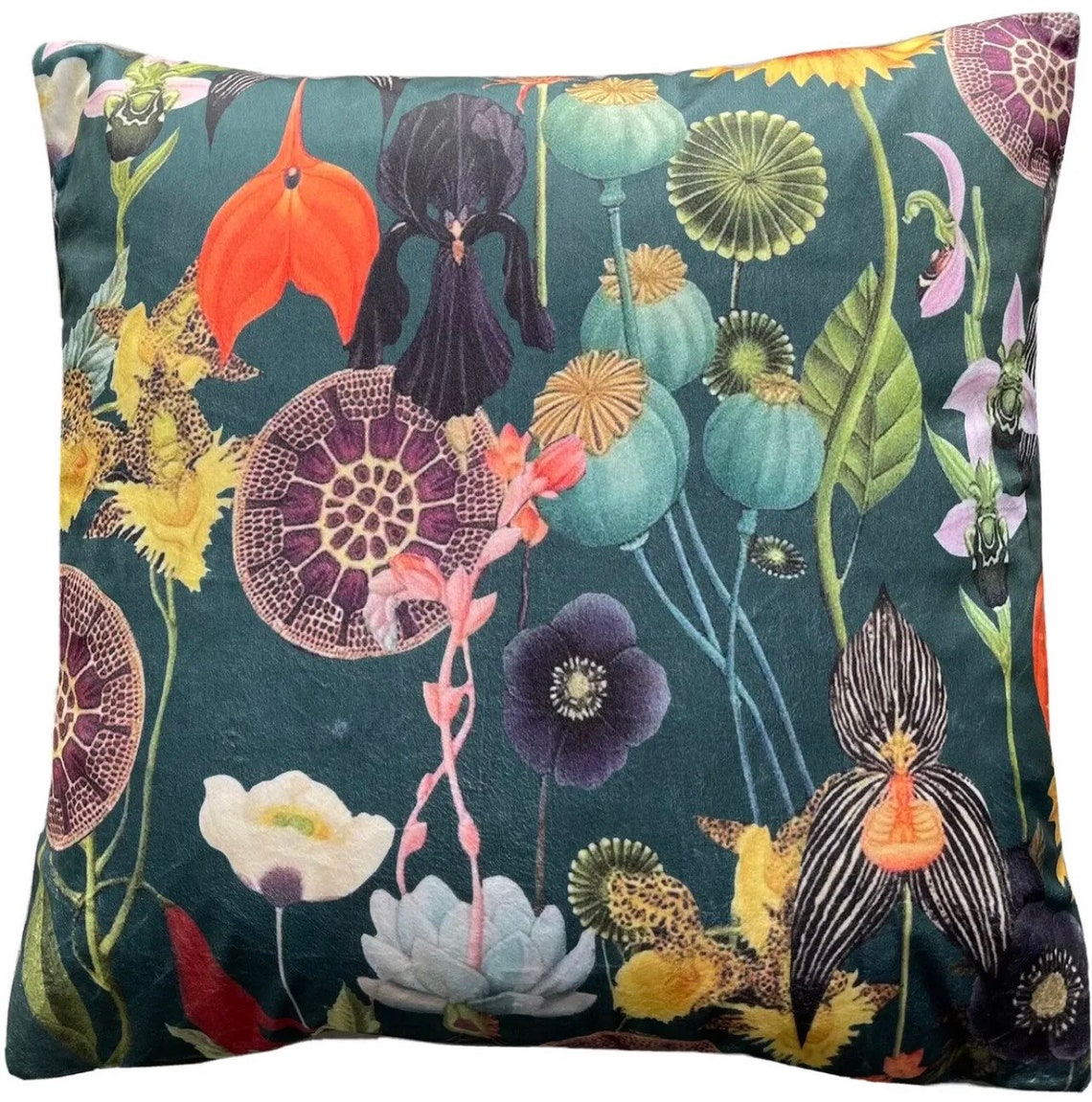 Poppy Cushion Cover Sunflowers Botanical Velvet Retro Design - Etsy UK
