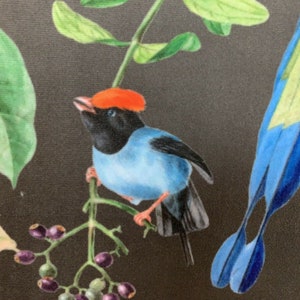 Italian Velvet Toffee Red Blue Botanical Tropical Birds Digital Print ...