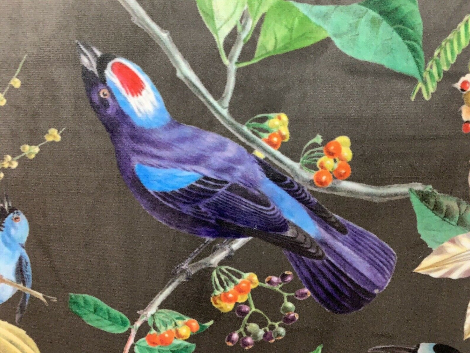 Italian Velvet Toffee Red Blue Botanical Tropical Birds - Etsy