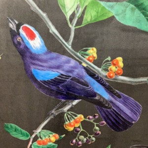 Italian Velvet Toffee Red Blue Botanical Tropical Birds Digital Print ...