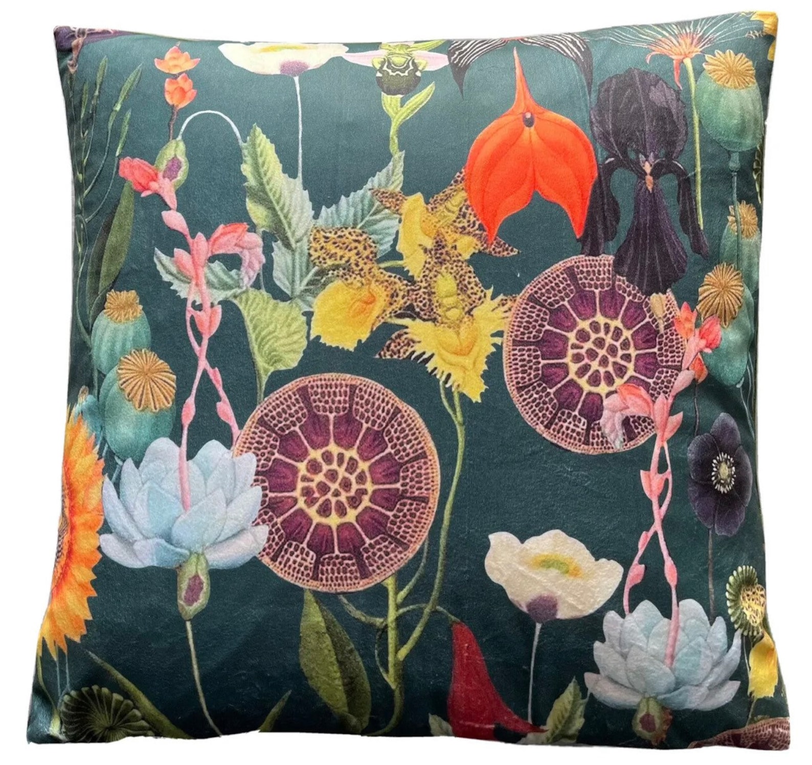Poppy Cushion Cover Sunflowers Botanical Velvet Retro Design - Etsy UK