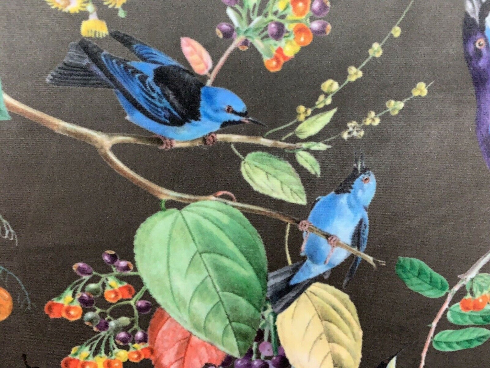 Italian Velvet Toffee Red Blue Botanical Tropical Birds - Etsy