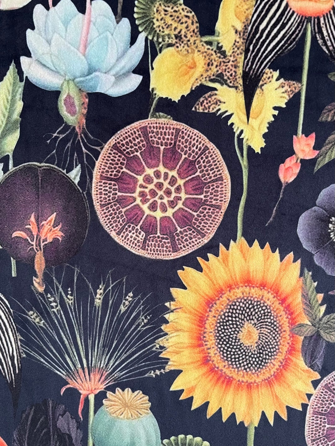 Poppy Sunflower Printed Velvet by Metre Botanical Plants Blue - Etsy