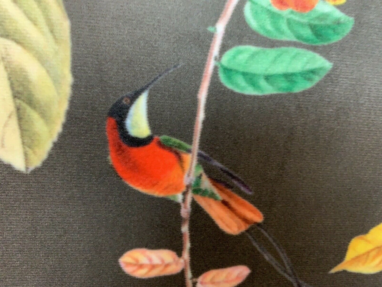 Italian Velvet Toffee Red Blue Botanical Tropical Birds - Etsy