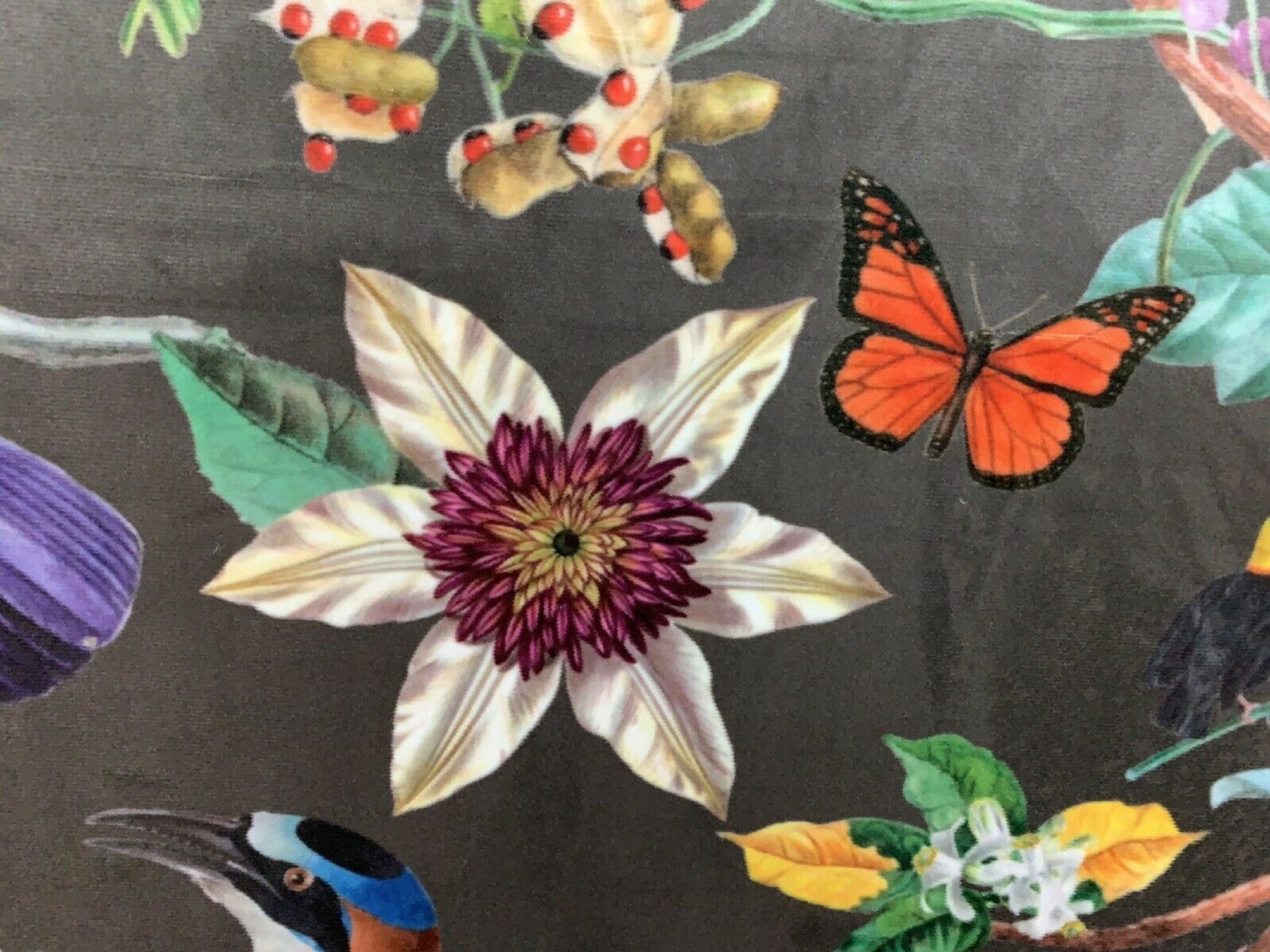 Italian Velvet Toffee Red Blue Botanical Tropical Birds - Etsy