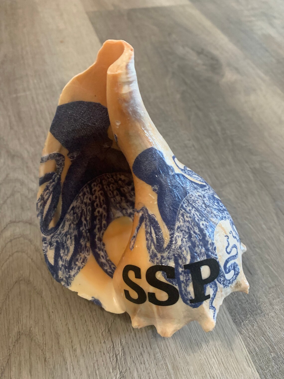 Conch Shell With Decoupage Octopus - Etsy