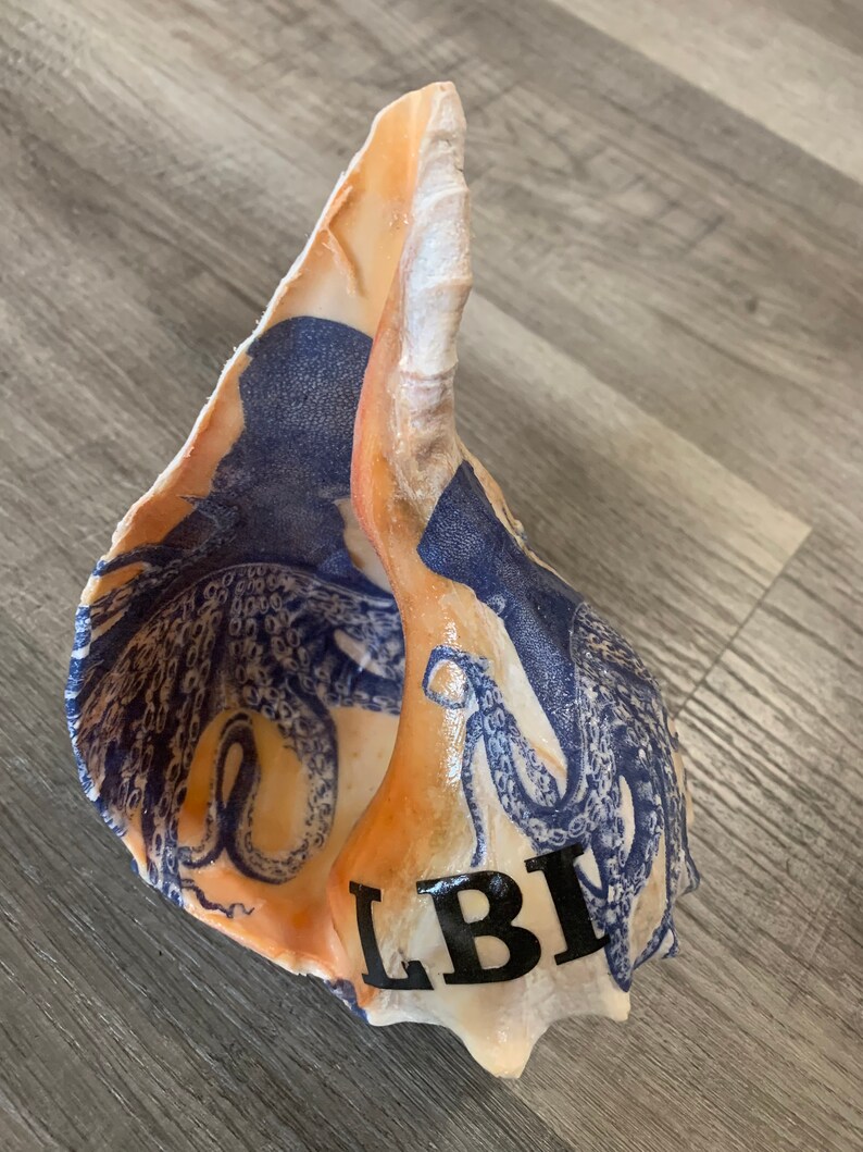 Conch Shell With Decoupage Octopus - Etsy