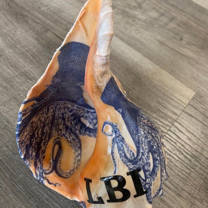 Decoupage Conch Shells - Etsy