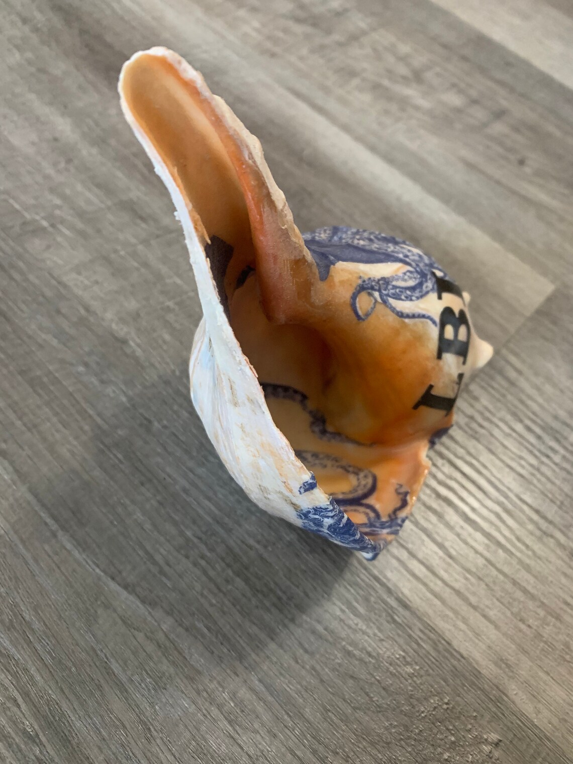 Conch Shell With Decoupage Octopus - Etsy
