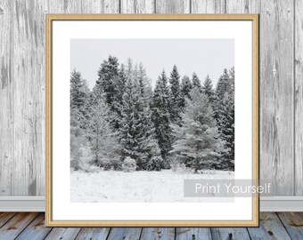Snow White Forest Backdrop - Etsy