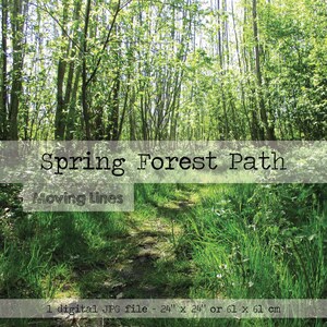 Easter Backdrop Nature Photo Spring Forest Path Digital | Etsy