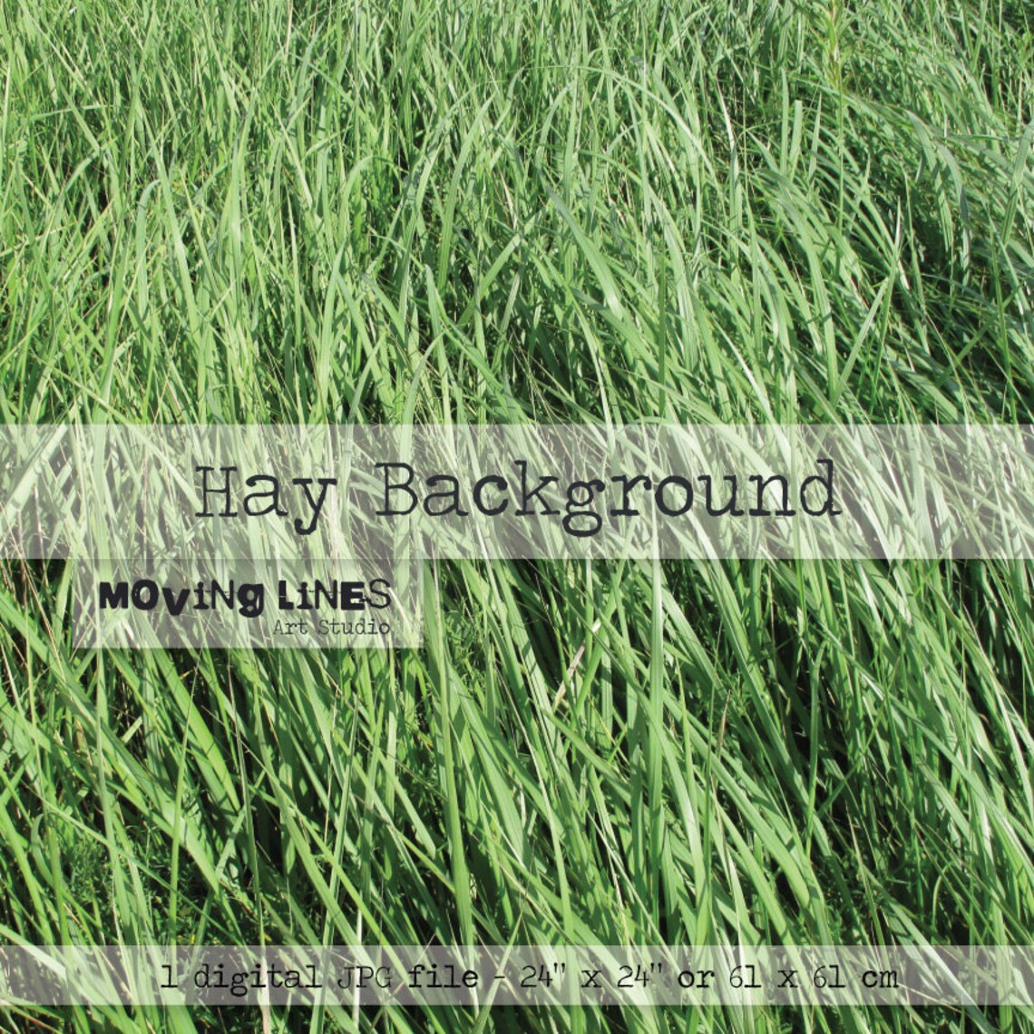Green Grass Digital Backdrop Nature Photography Hay Summer - Etsy