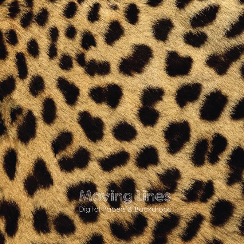 Cheetah Print Digital Paper Real Leopard Pattern Animal - Etsy