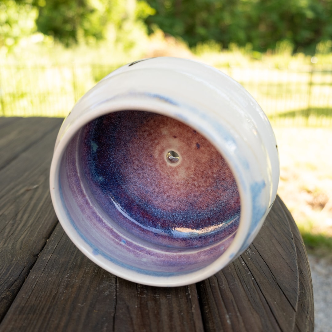 Cute Large Indoor Bubble Succulent Planter With Black Line Drawing ...