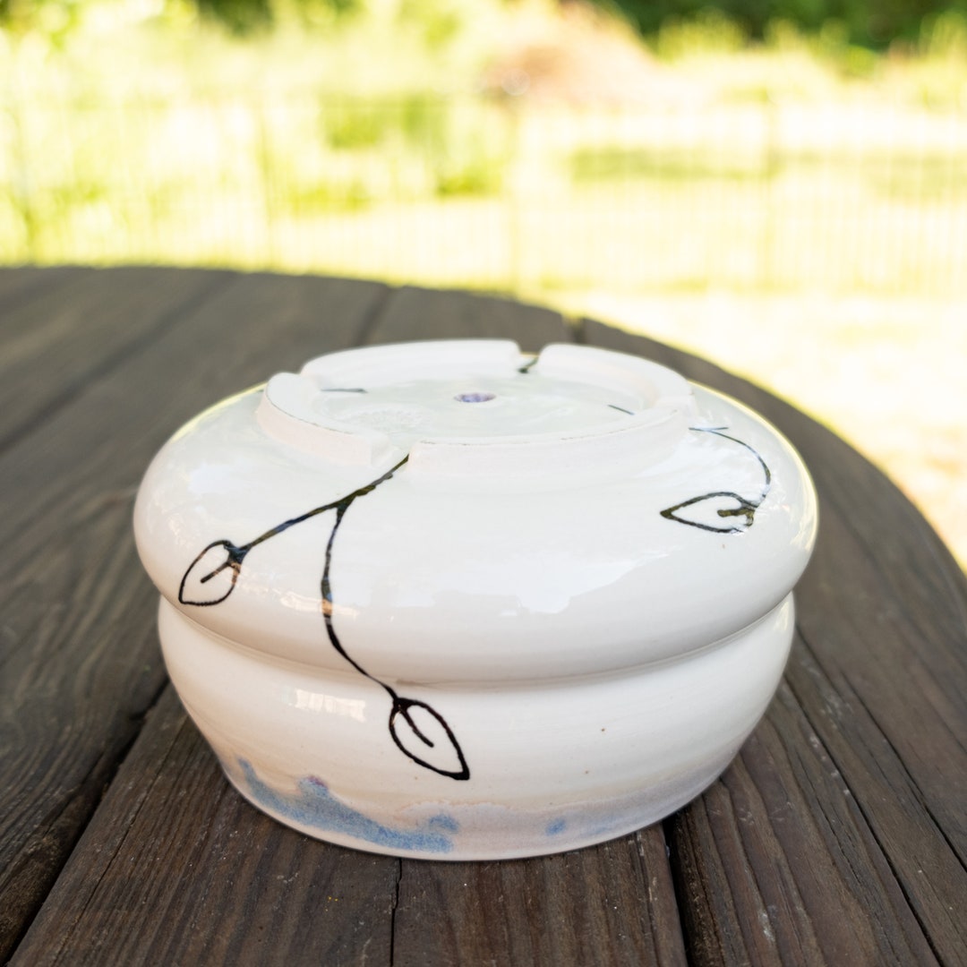 Cute Large Indoor Bubble Succulent Planter With Black Line Drawing ...