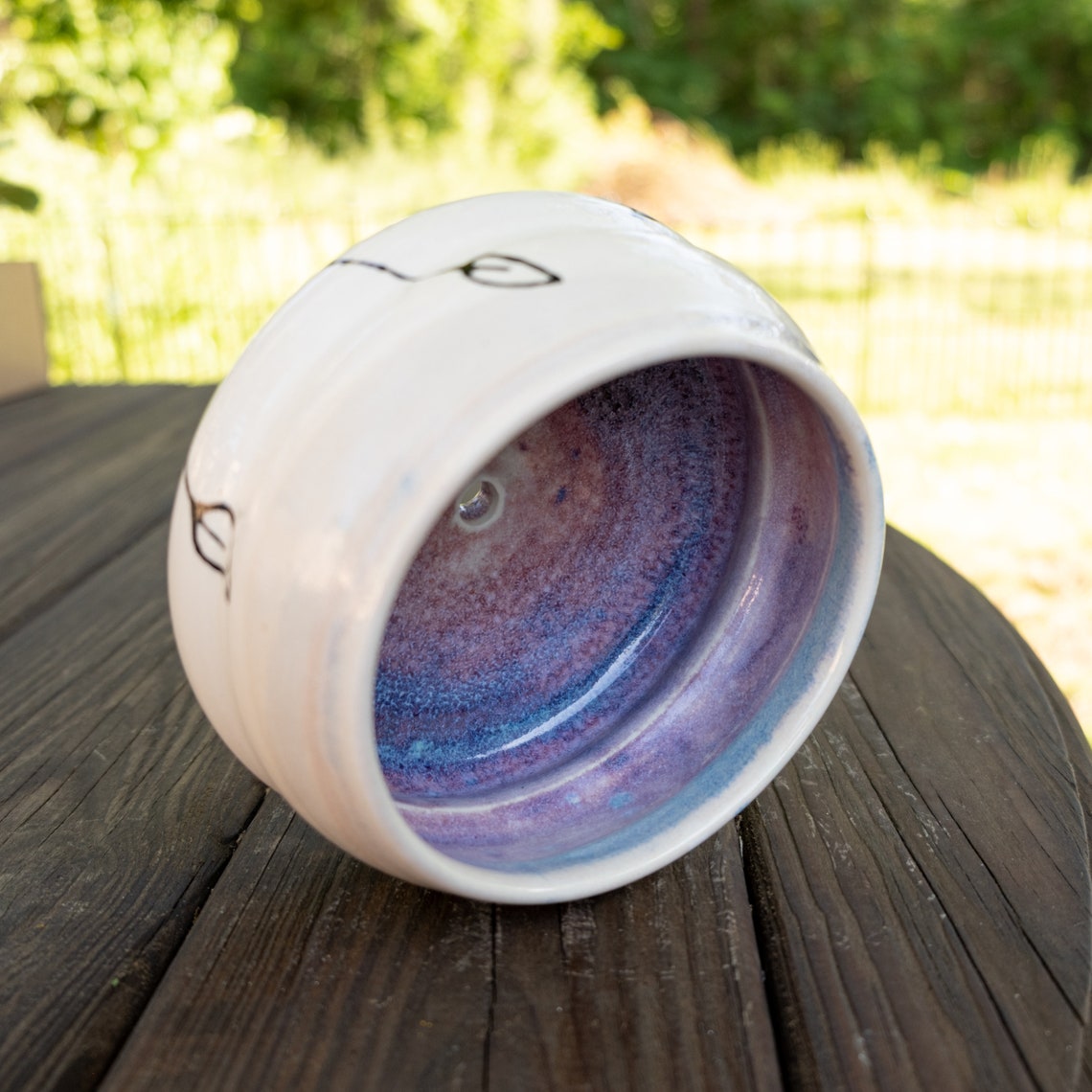 Cute Large Indoor Bubble Succulent Planter With Black Line Drawing ...