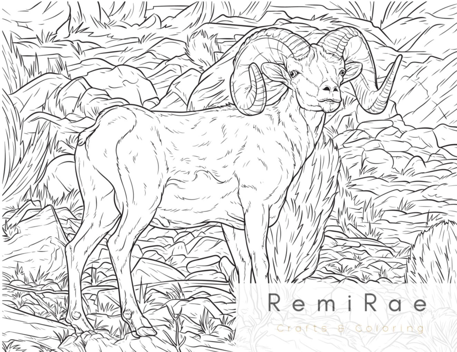 Big Horn Sheep Coloring Page. Real-life Coloring Pages. Adult | Etsy