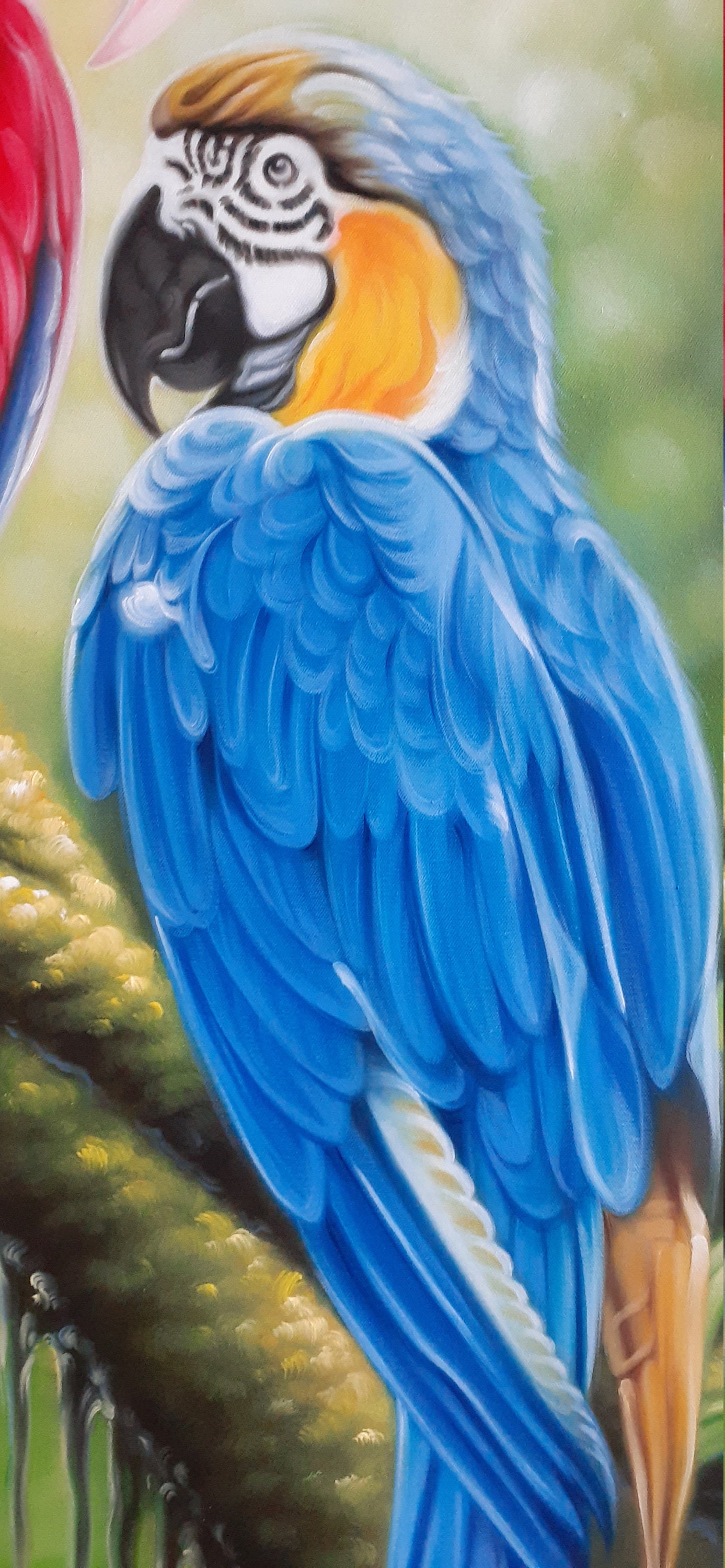 Parrot Painting Famous
