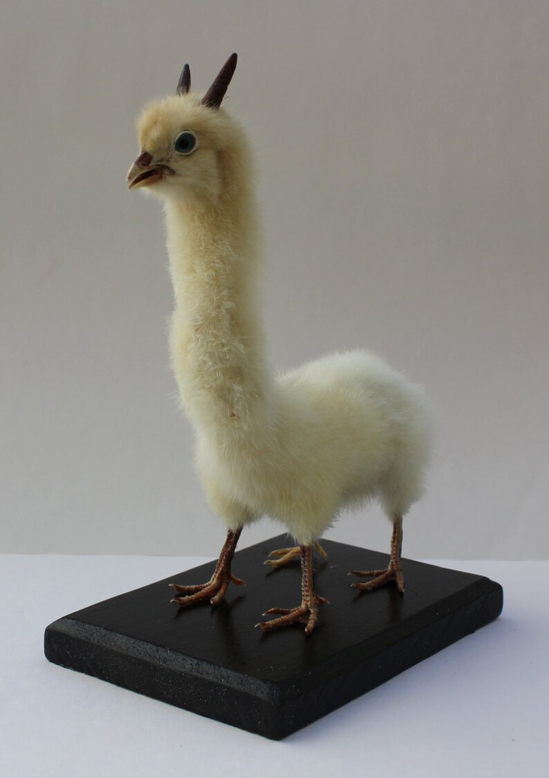 Made to Order. Caspers Creatures Magic Litlle Giraffe Chicken - Etsy