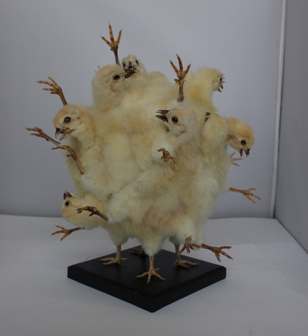 Amazing Chicken Ball! Made to Order - Etsy