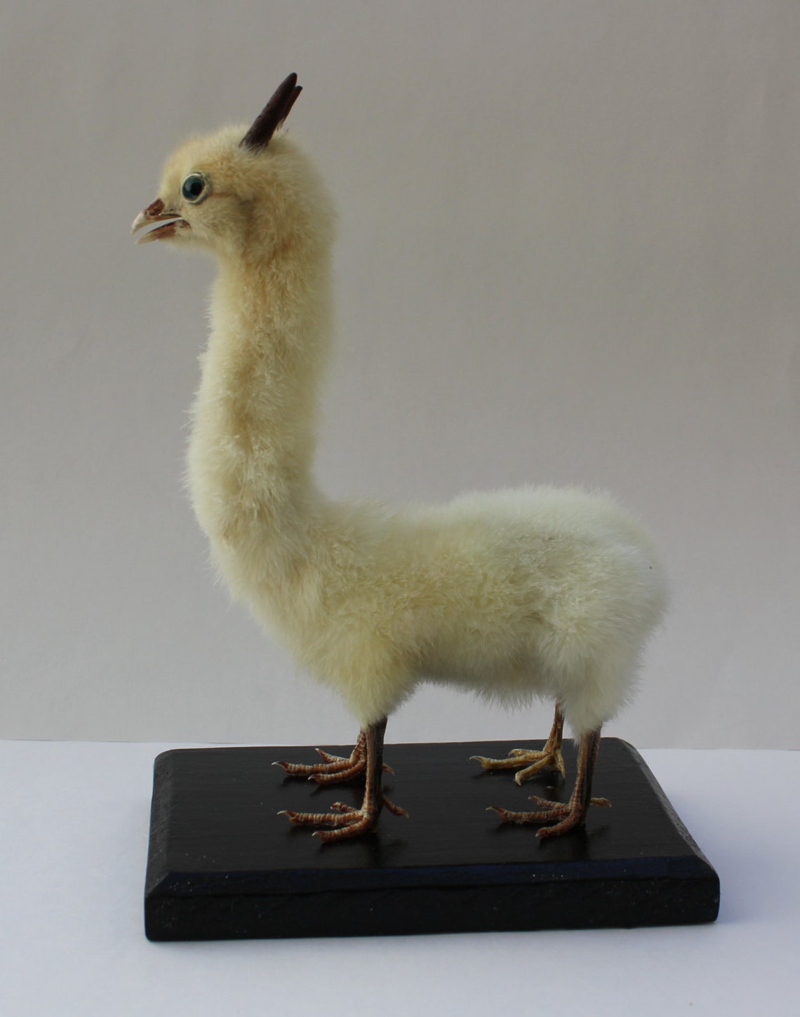 Made to Order. Caspers Creatures Magic Litlle Giraffe Chicken - Etsy