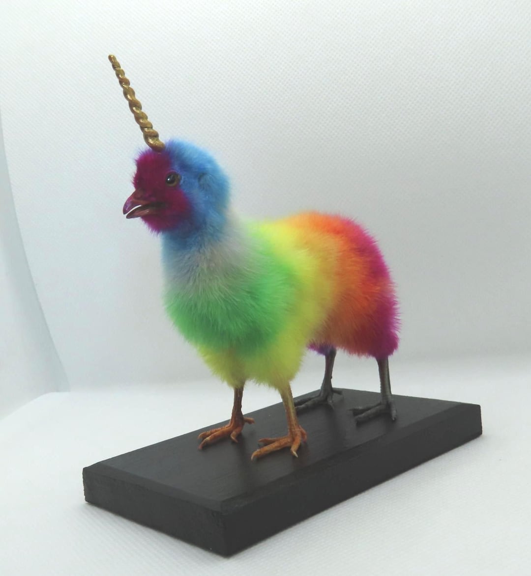 Caspers Creatures Magic Unicorn Chicken -mature- Made to Order - Etsy