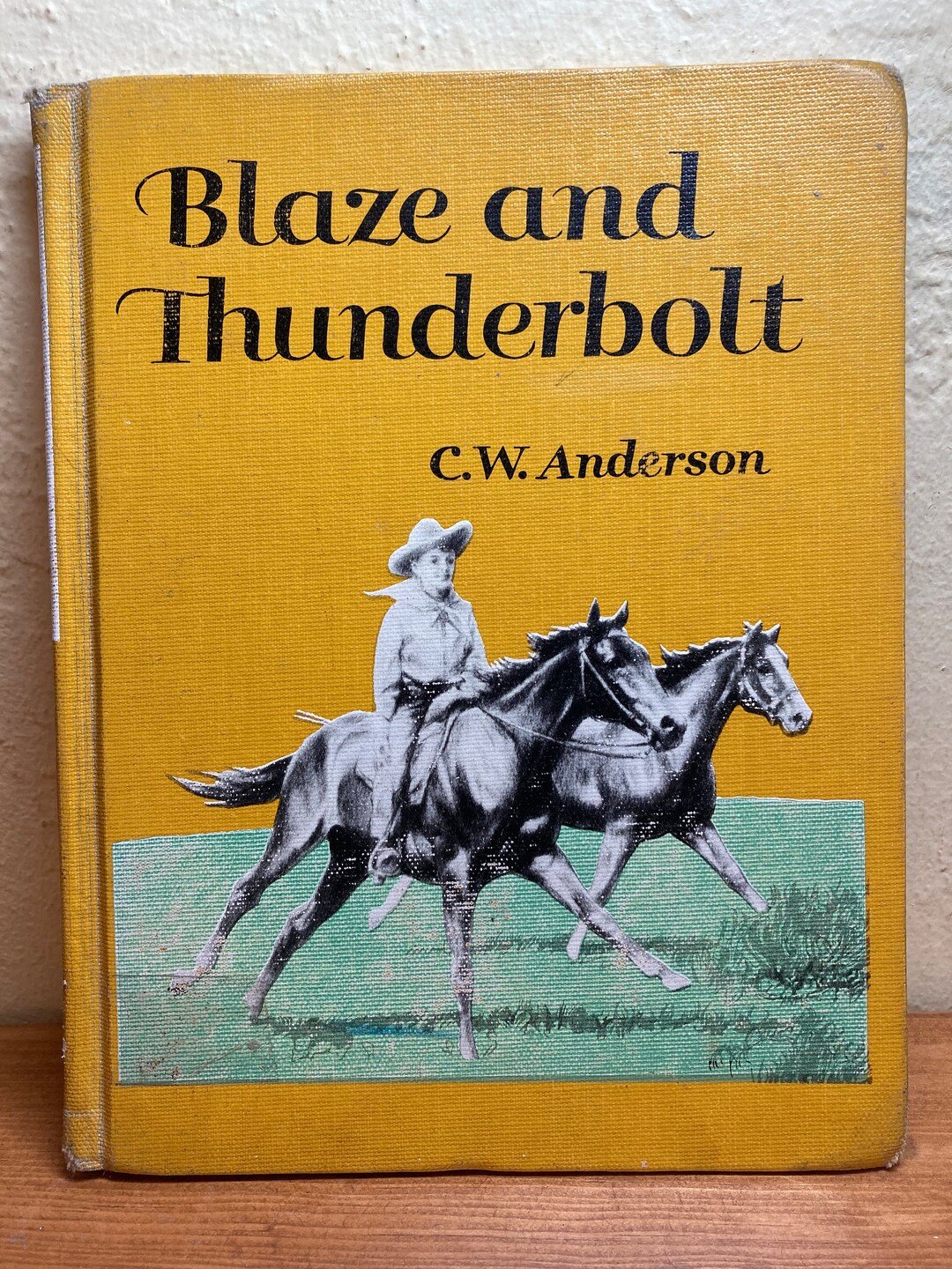 1962 Children's Book blaze and Thunderbolt is a Story About Life and ...