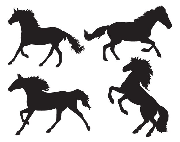 Paard SVG paarden svg vector paard westerse svg paard | Etsy Nederland