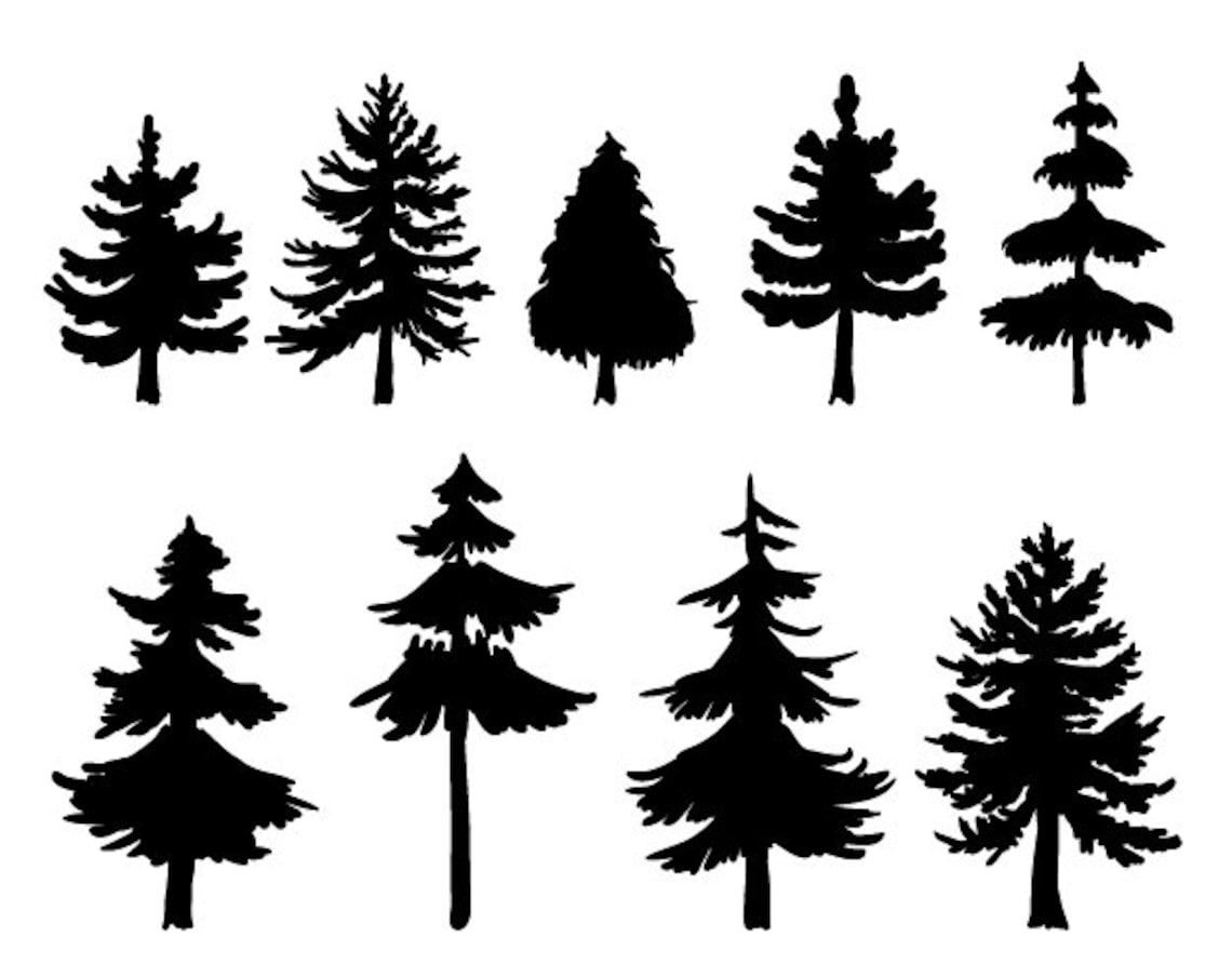 Pine Tree Clipart Pine Tree Png Vector Pine Tree Pine Tree - Etsy Canada