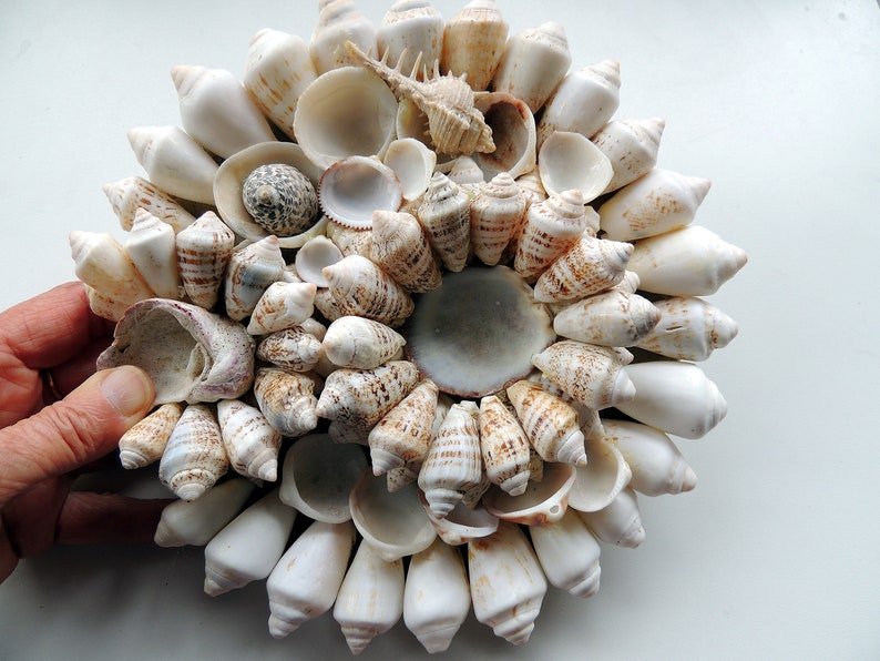 Sea Shells Mosaic, Round Sea Shells Wall Art Mosaic, Home Decoration ...