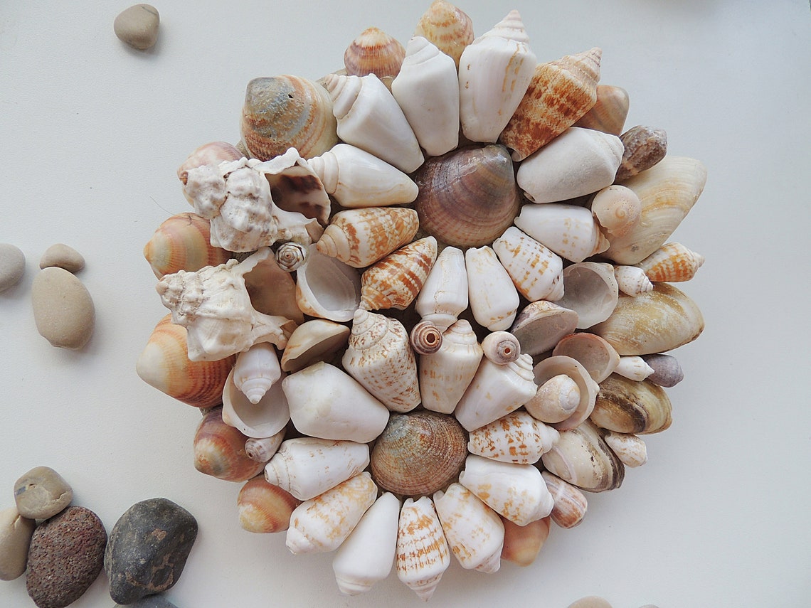 Sea Shells Mosaic, Round Sea Shells Wall Art Mosaic, Home Decoration ...