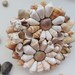 Sea Shells Mosaic, Round Sea Shells Wall Art Mosaic, Home Decoration ...