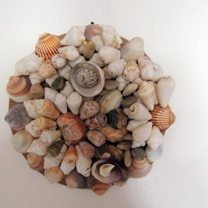 Sea Shells Mosaic, Round Sea Shells Wall Art Mosaic, Home Decoration ...